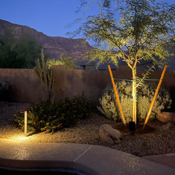 Professional Grade Premium Solar Landscape Lights – SunTino Solar Lights