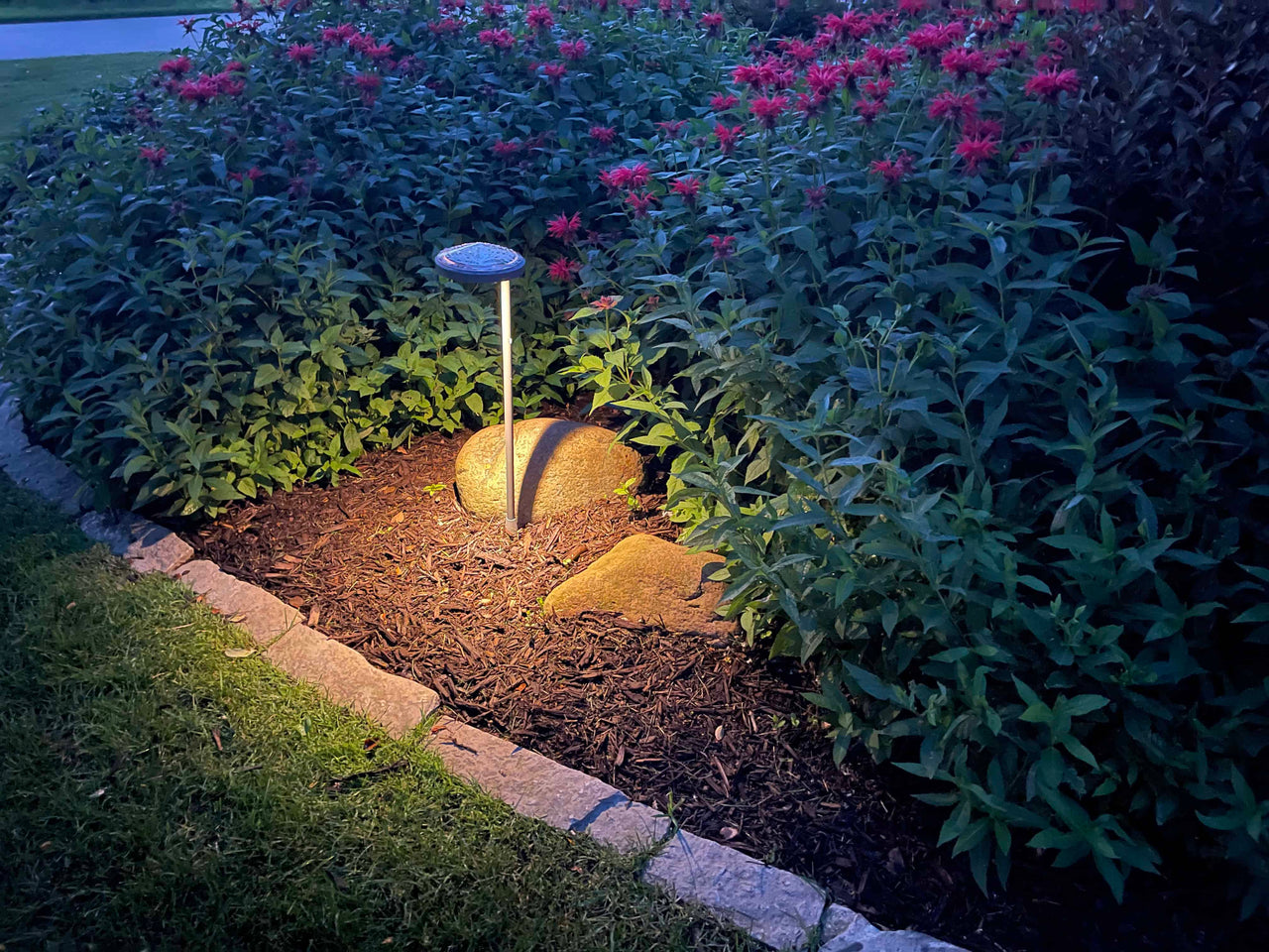 Solar Garden – SunTino Solar Lights